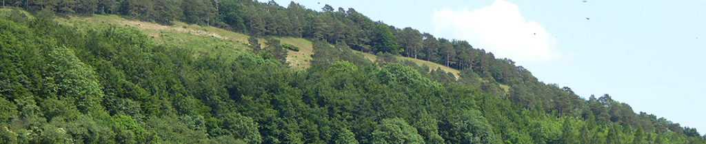 Weper – Erkundungspunkte Hardegsen