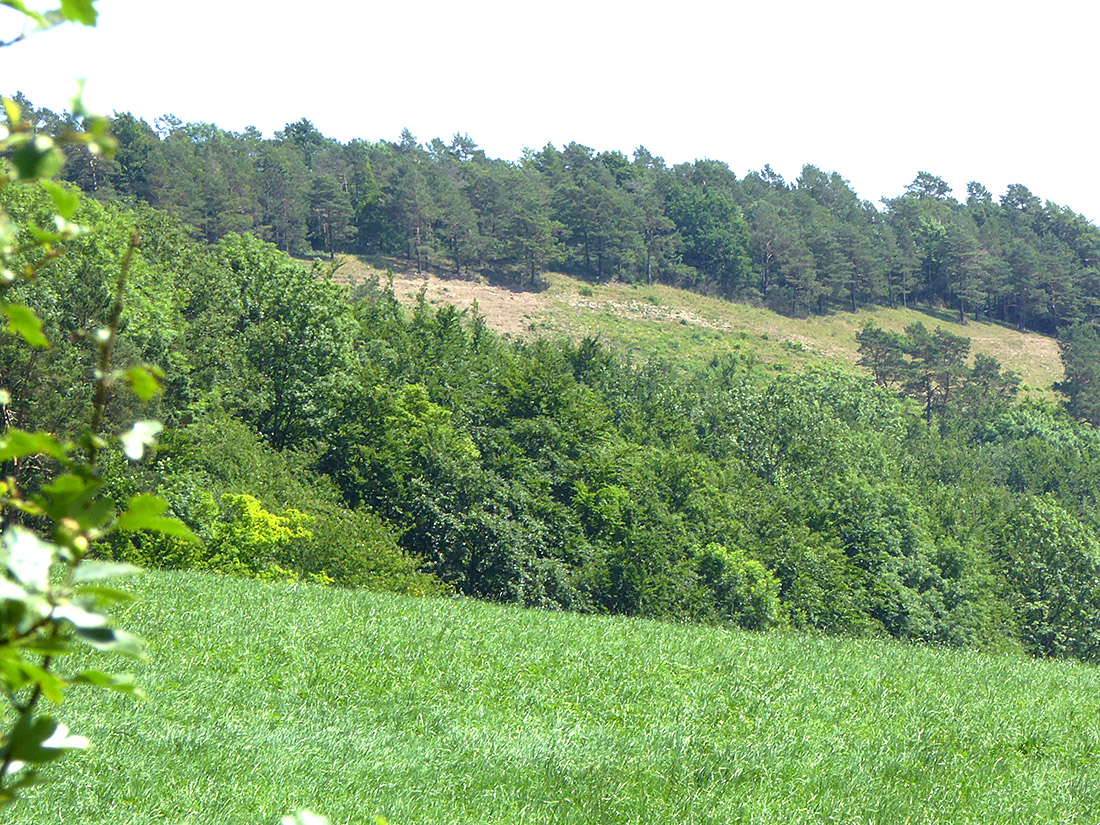 Weper – Erkundungspunkte Hardegsen